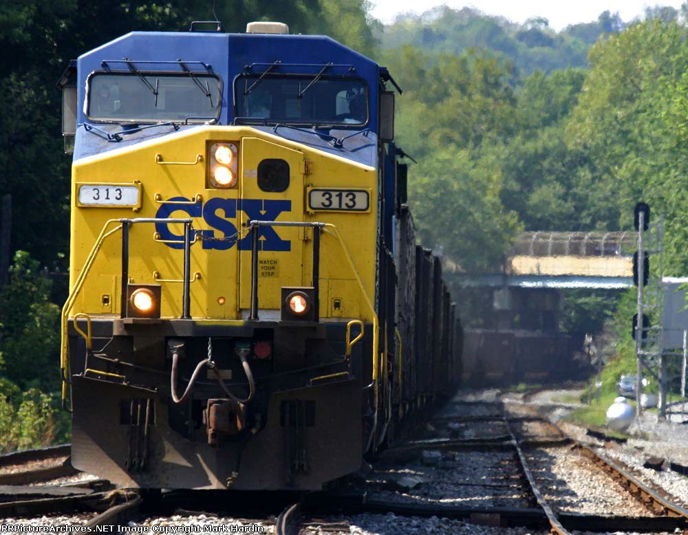CSX 313